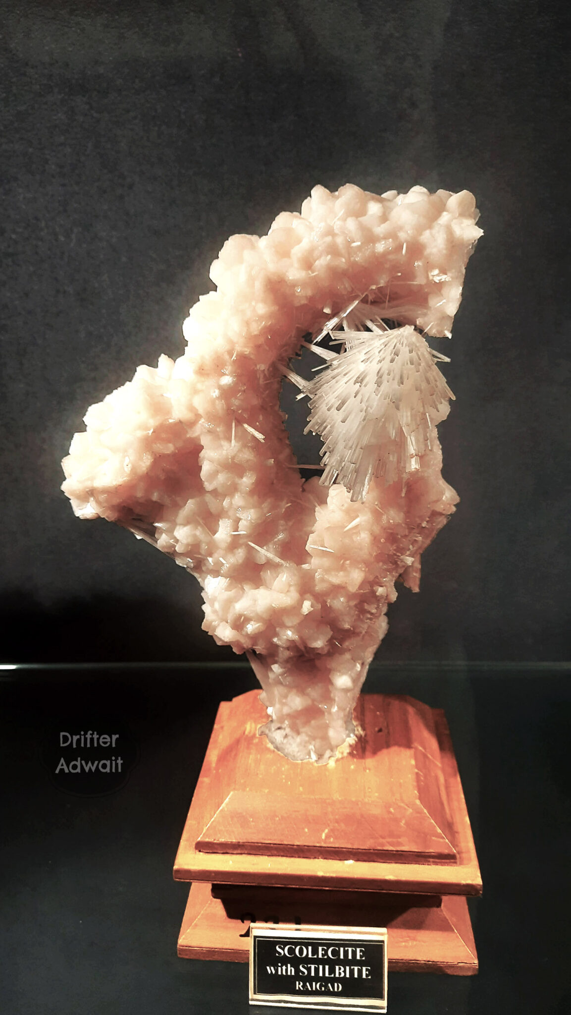 Gargoti Museum, Sinnar, Nasik