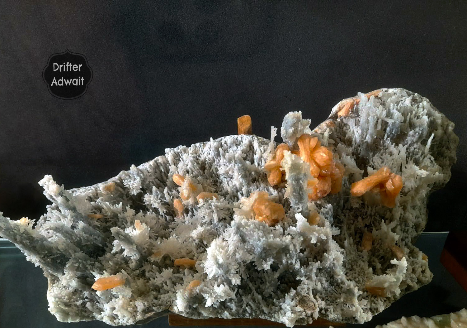 Gargoti Museum, Sinnar, Nasik